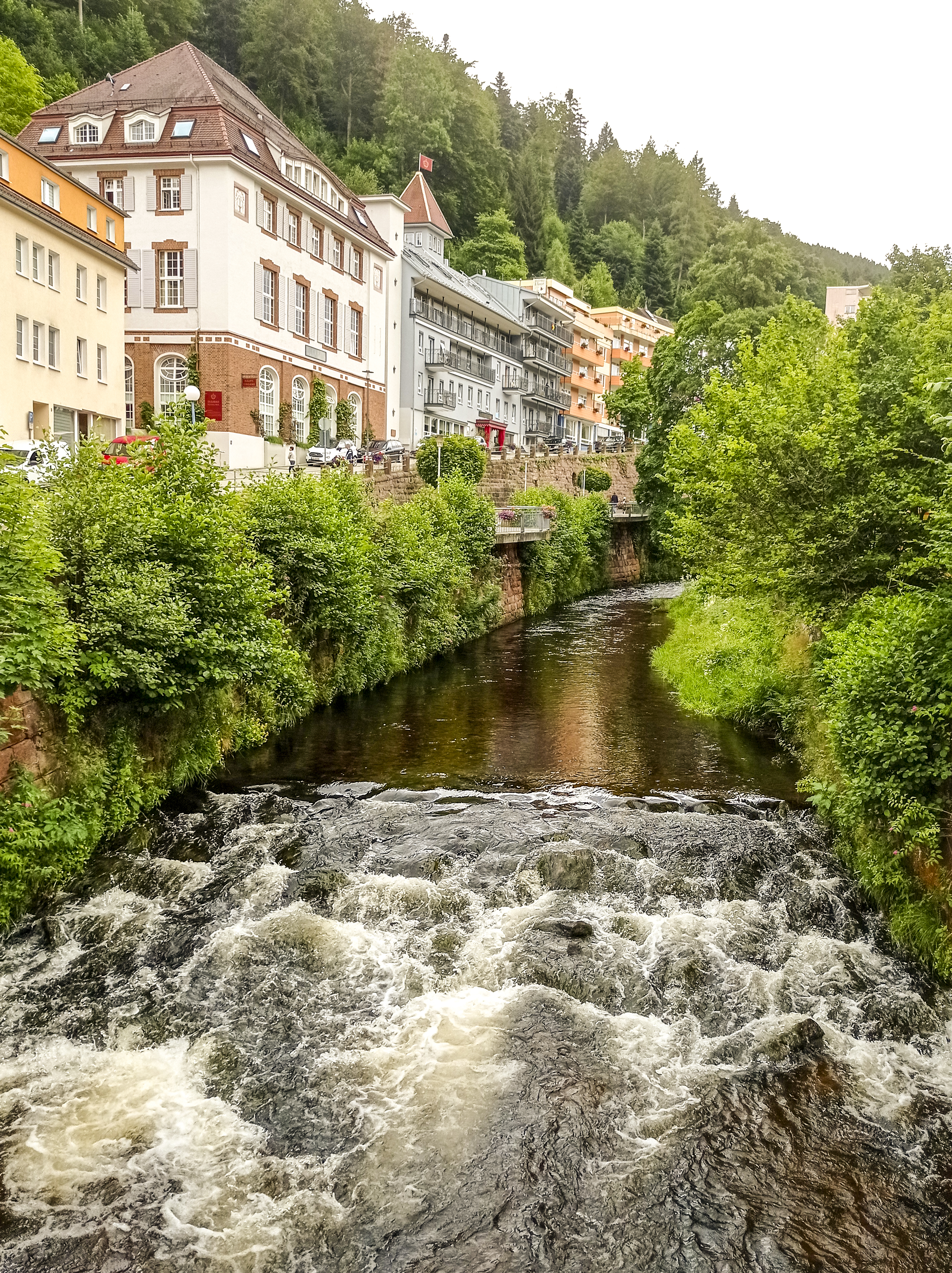 Travel report: The nature park cycle path in the northern Black Forest ...