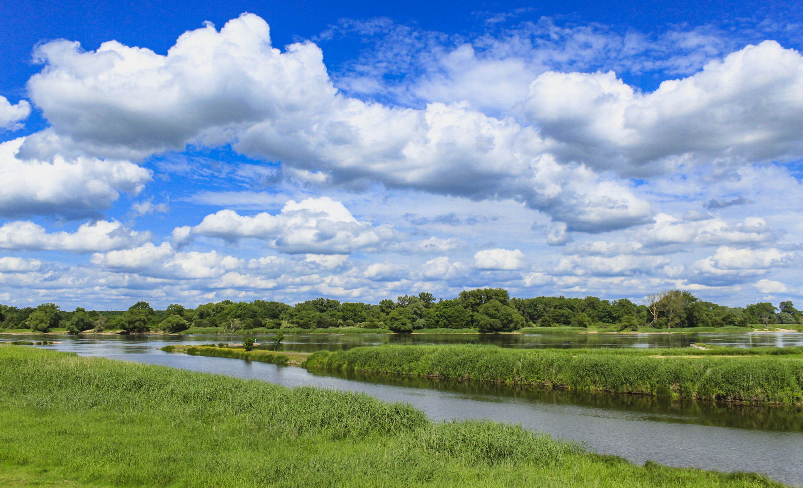 Bike tour along the Elbe River | Cycling Holidays