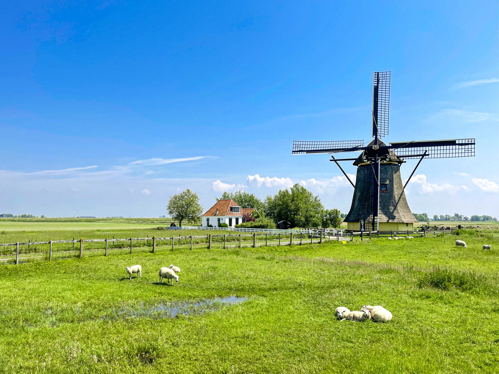 Island hopping through the Netherlands | Cycling Holidays