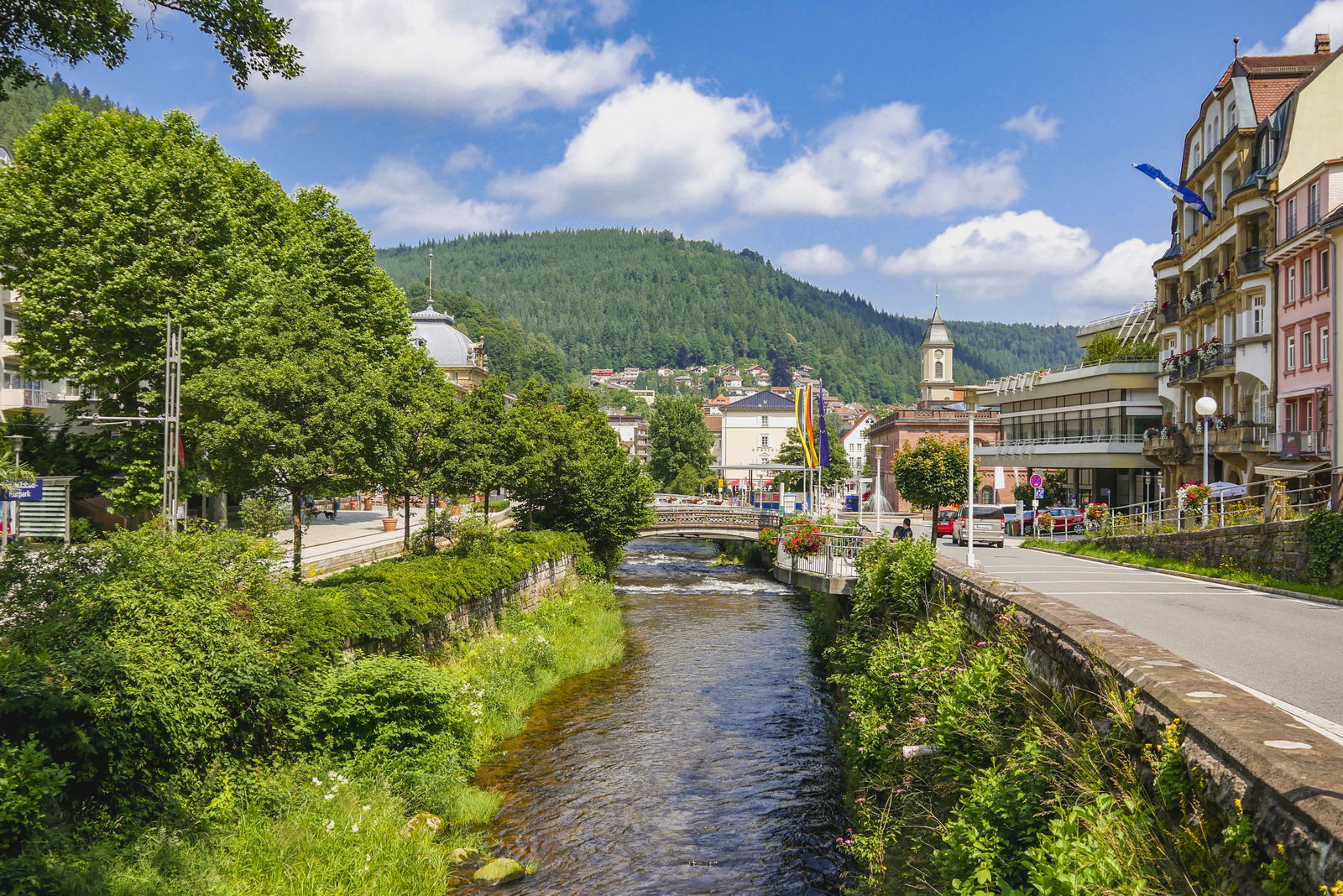 The Black Forest Panorama Cycle Route | Cycling Holidays