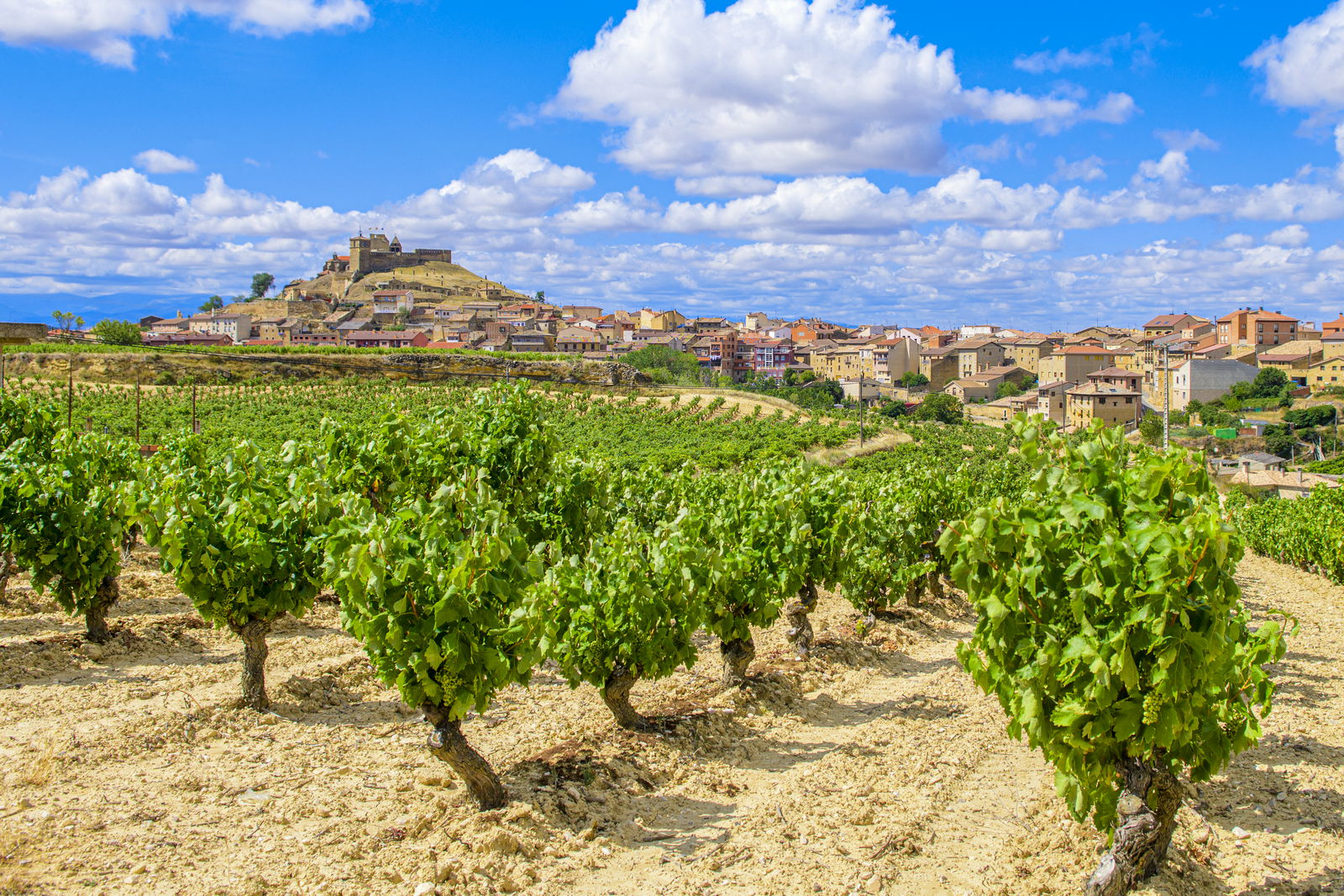 Bike tour through La Rioja | Cycling Holidays