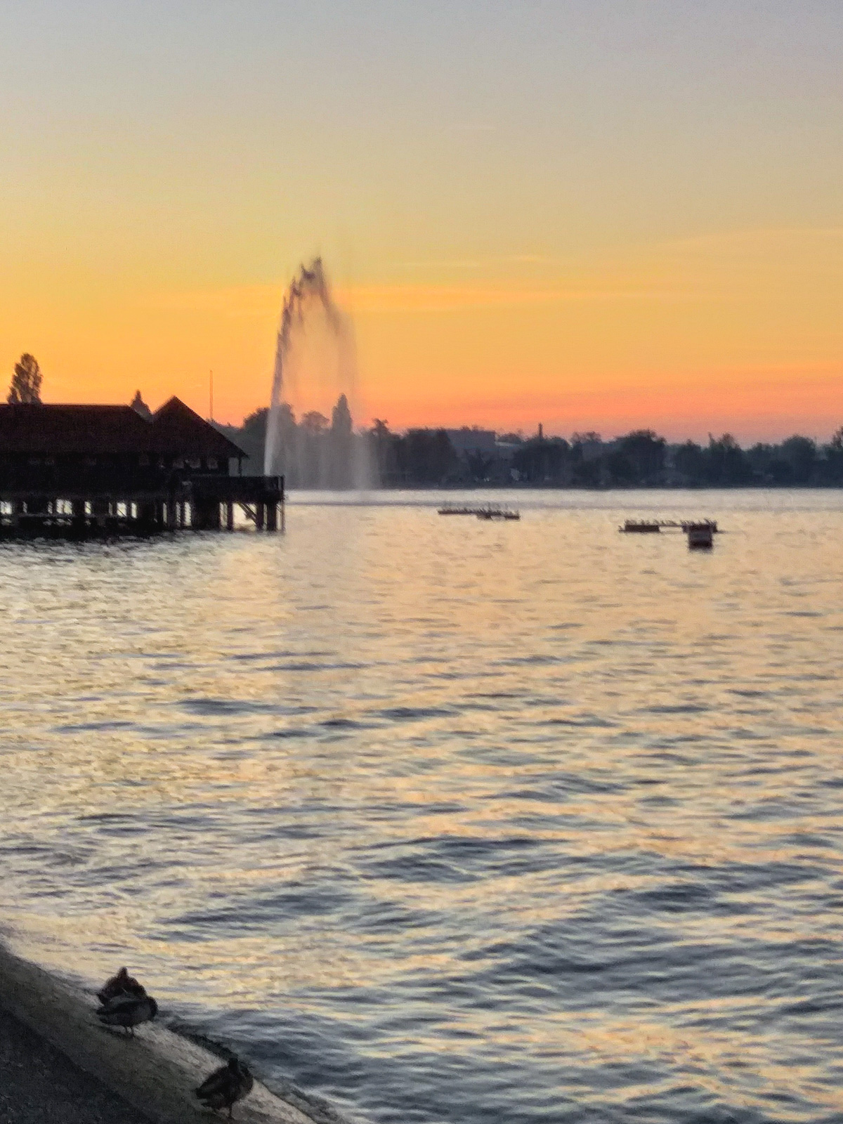 Travel report: Lake Constance tour in September 2021 | Cycling Holidays