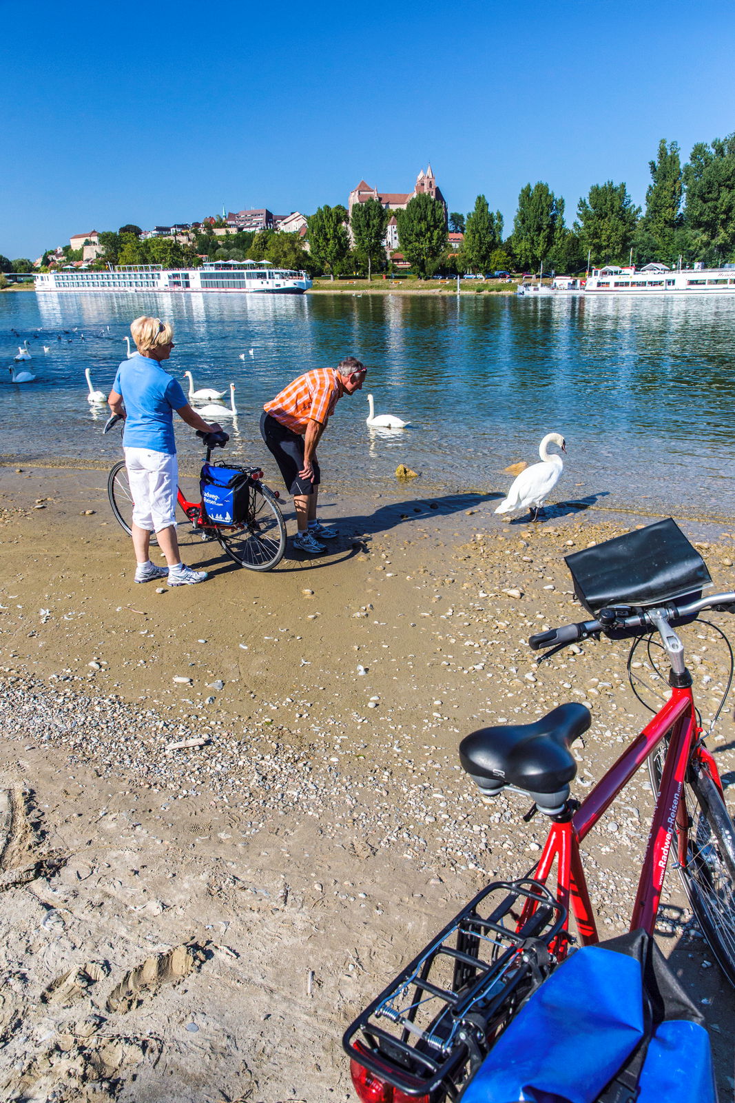 Bike tour around Freiburg | Cycling Holidays