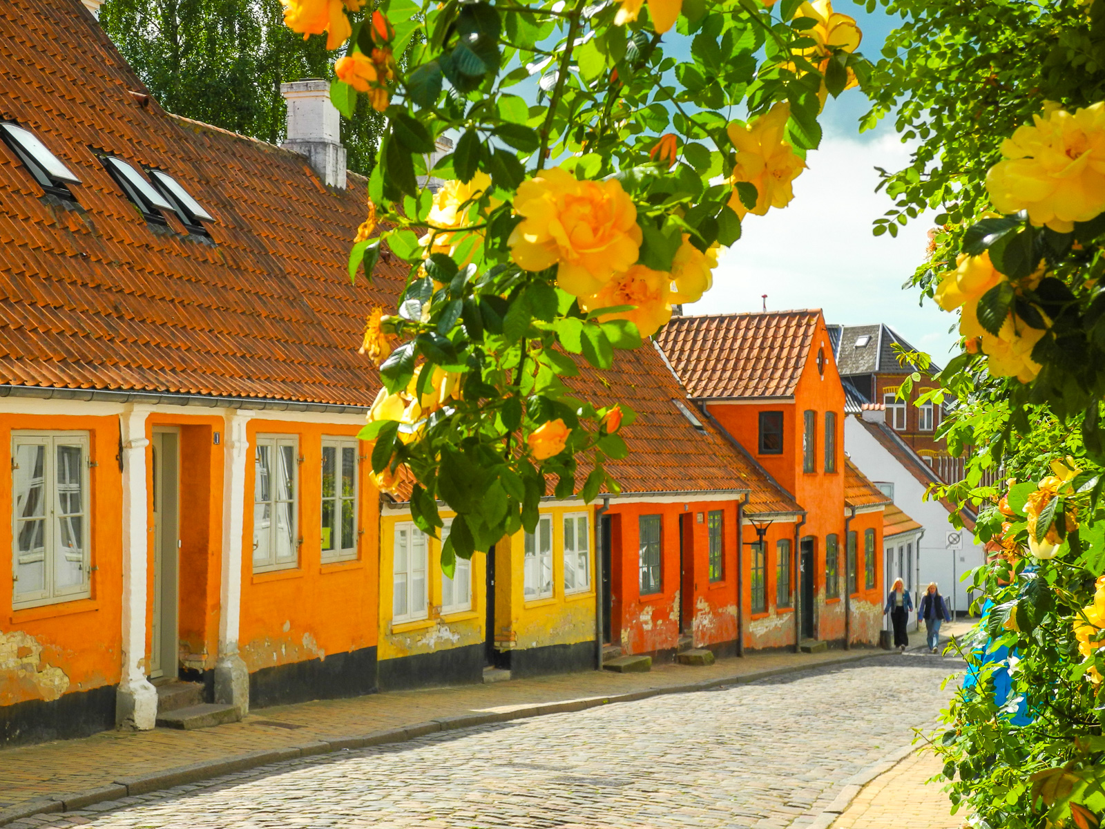 Travel report from the Danish South Sea | Cycling Holidays