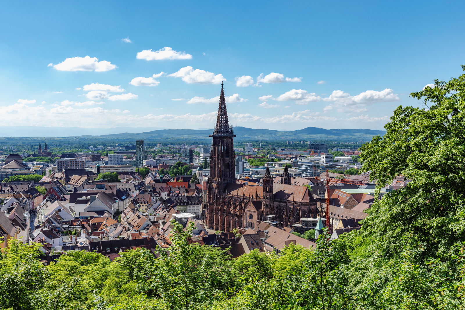 Cycle Tour along the High Rhine | Cycling Holidays