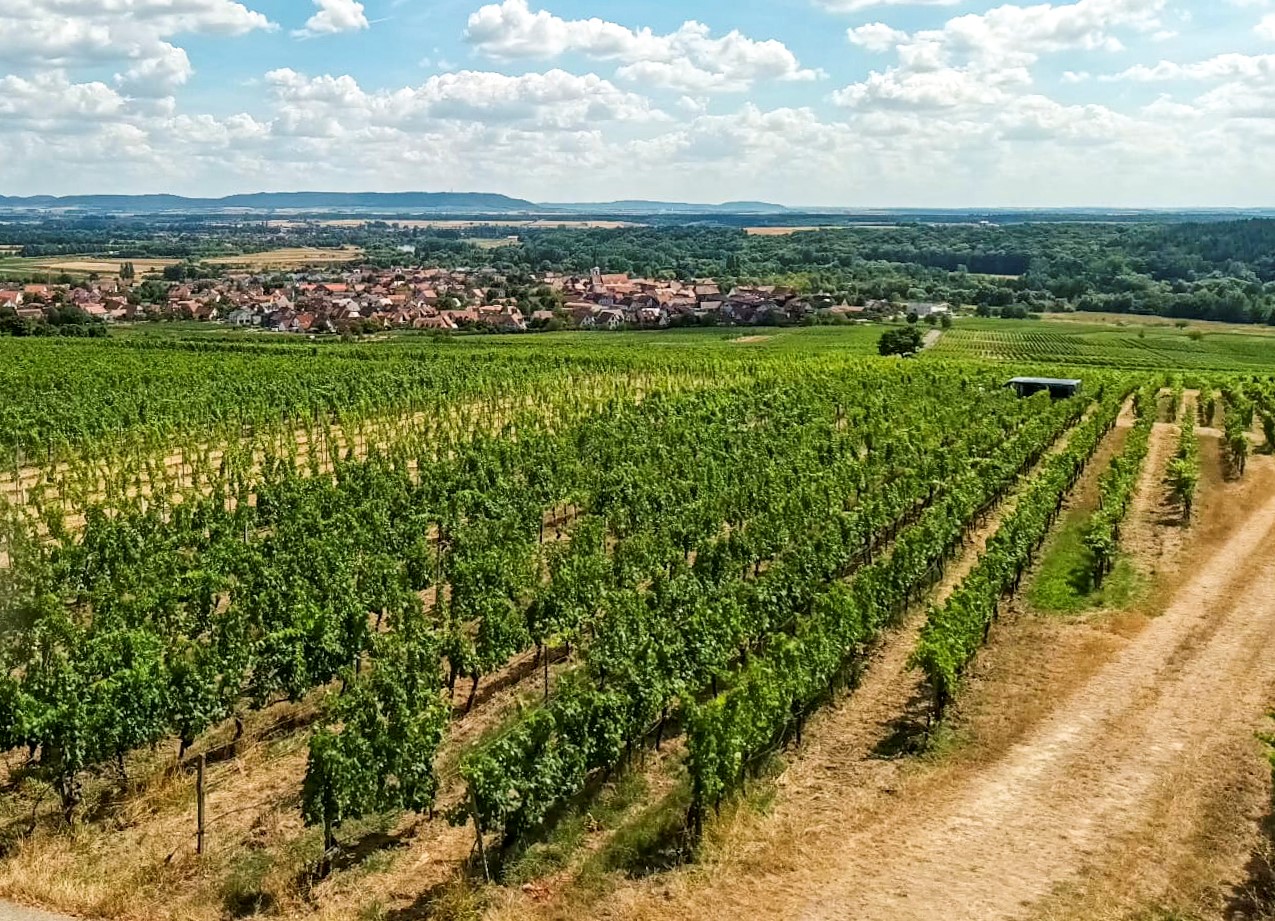 Travel report: Cycle tour along the Main from Bamberg to Aschaffenburg ...