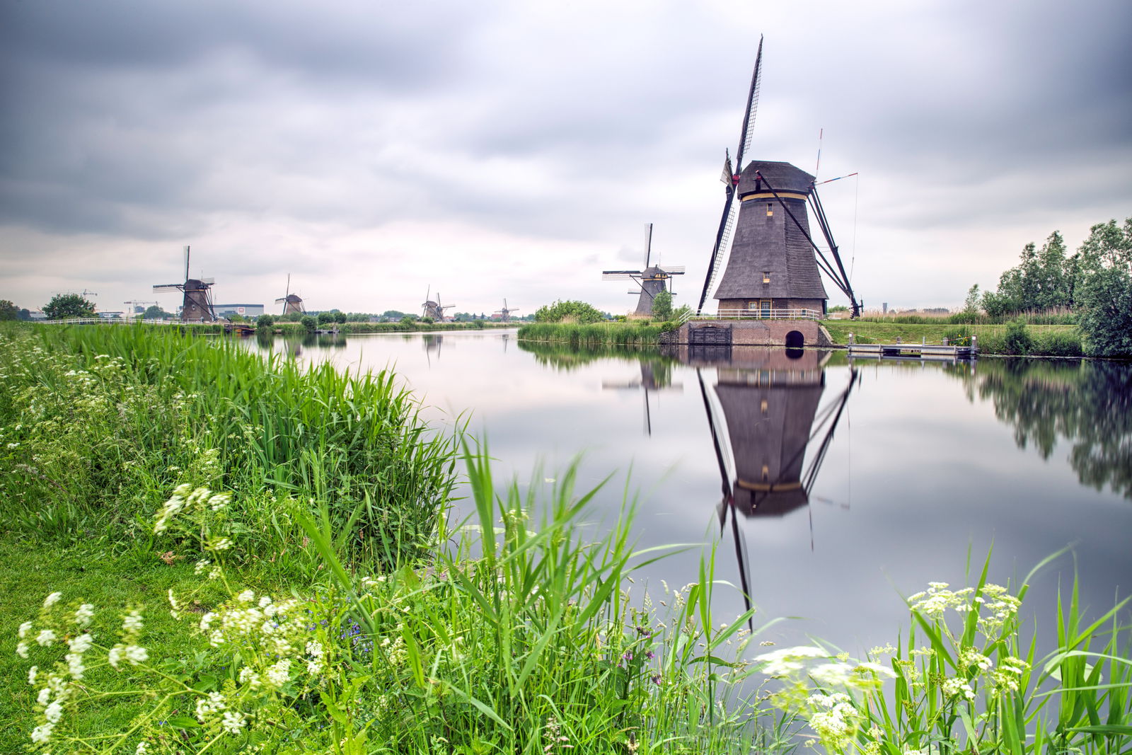 On Bike and Boat from Bruges to Amsterdam | Cycling Holidays