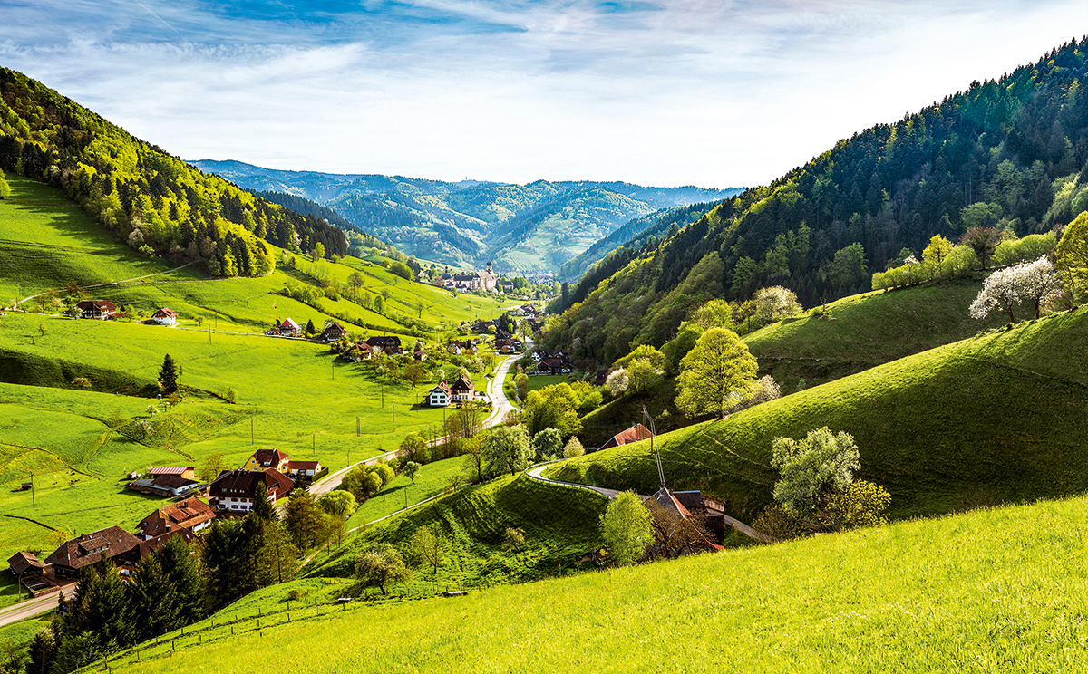 The Black Forest Panorama Cycle Route | Cycling Holidays