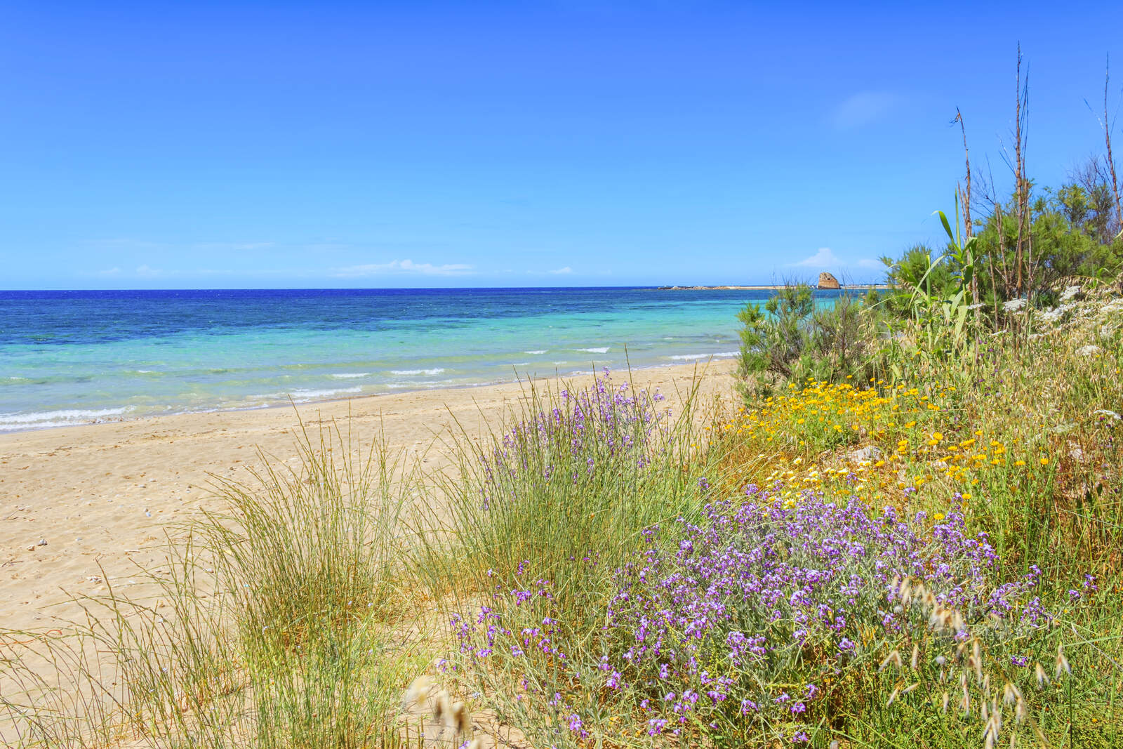 Bike tour in Puglia | Cycling Holidays