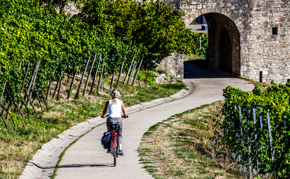 The Main Cycle Route | Cycling Holidays